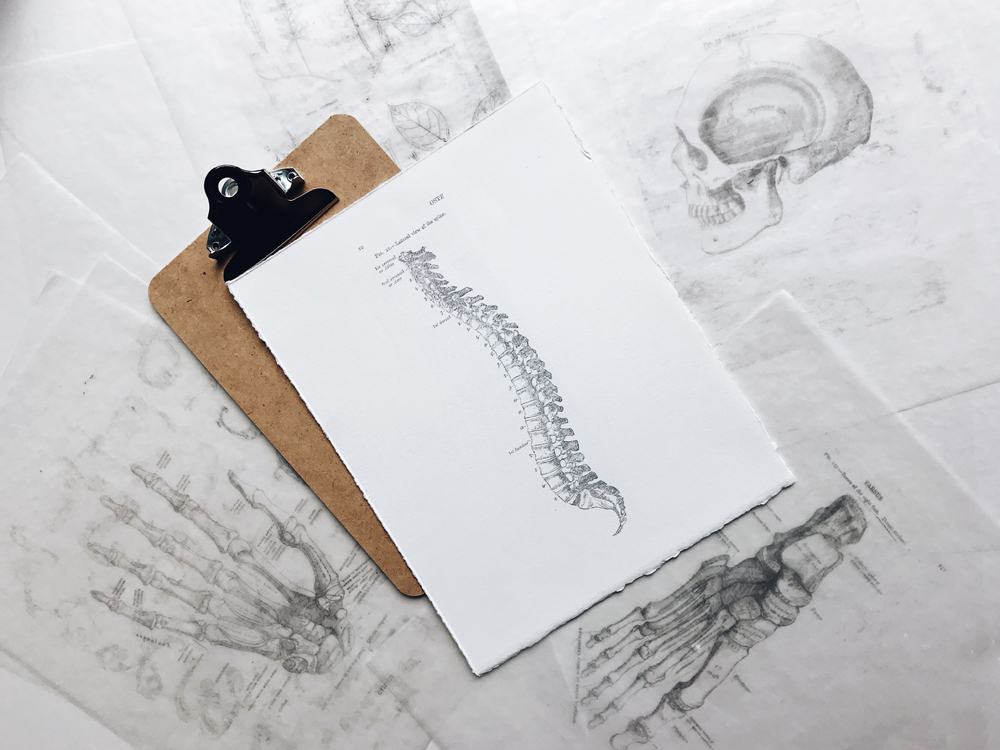 Scoliosis Increase With Age - Meditrac